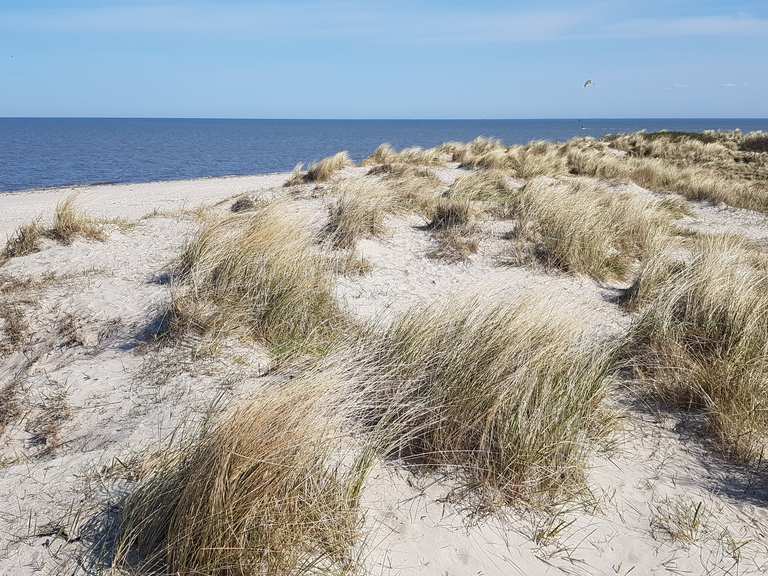 Naturstrand Schillig - Itinéraires de rando et marche | Komoot