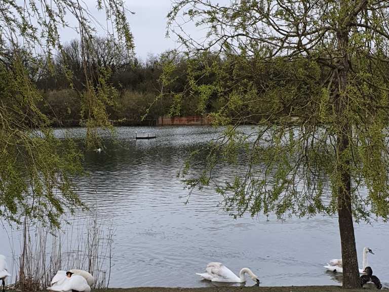 Swan Lake at Straw's Bridge – Hikes & How to Get There | Komoot