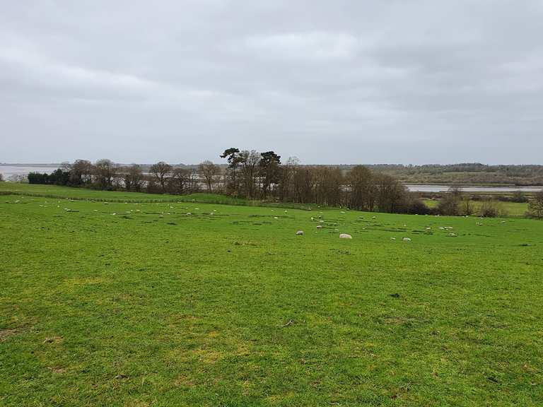 Wivenhoe Trail - Cycle Routes and Map | Komoot