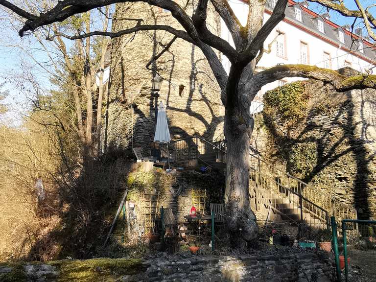 Schloss Ziegenberg Routes for Walking and Hiking | Komoot