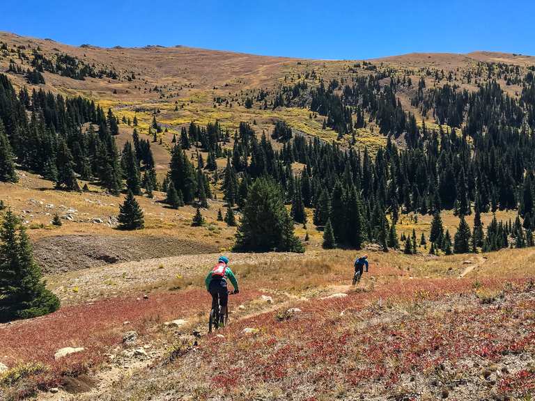 Canyon Creek Loop – Monarch Pass Area | Mountainbike-Tour | Komoot