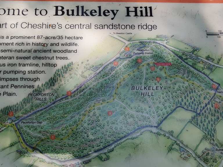 Bulkeley Hill Routes for Walking and Hiking | Komoot