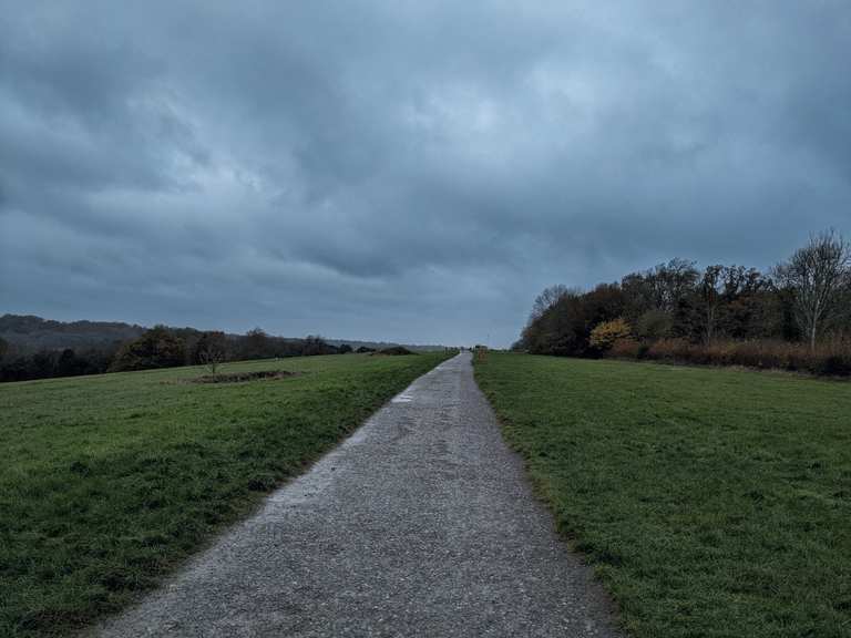 Addington Hills loop from Crystal Palace | mountain bike ride | Komoot