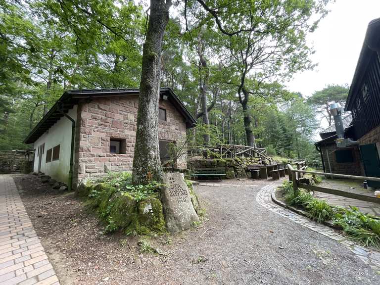 Ritterstein Nr. 190: "Karl Wertz, Neujahr 1960/1961": Wanderungen und ...