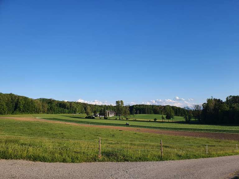 Hedinger Weiher : Radtouren und Radwege | komoot