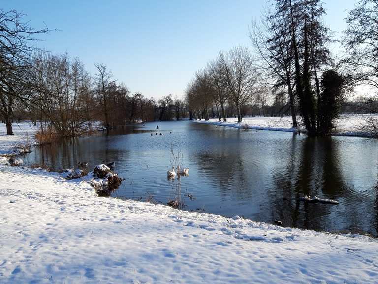 Domein de Ghellinck Elsegem: Wanderungen und Rundwege | komoot
