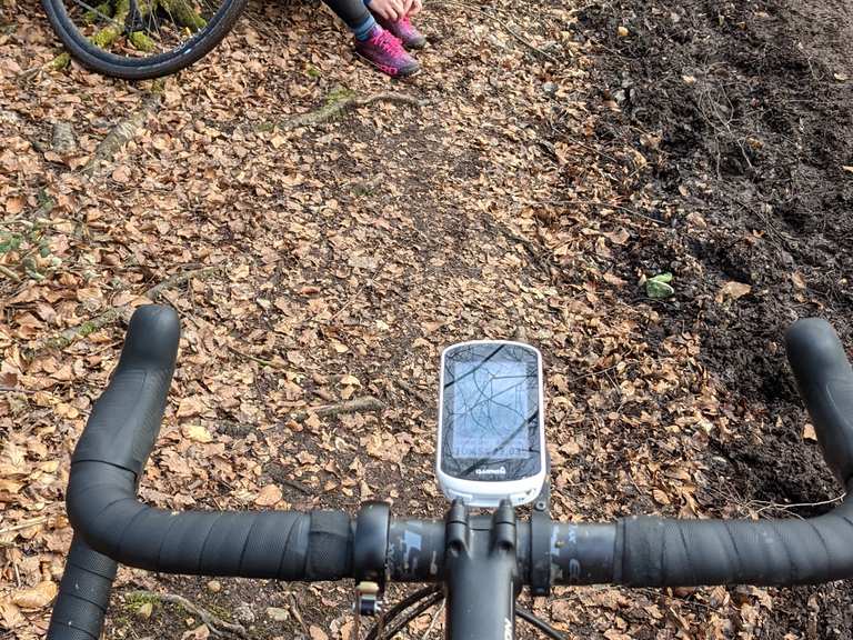 Green Ride, Epping Forest Mountain Bike Trails & Tracks | Komoot