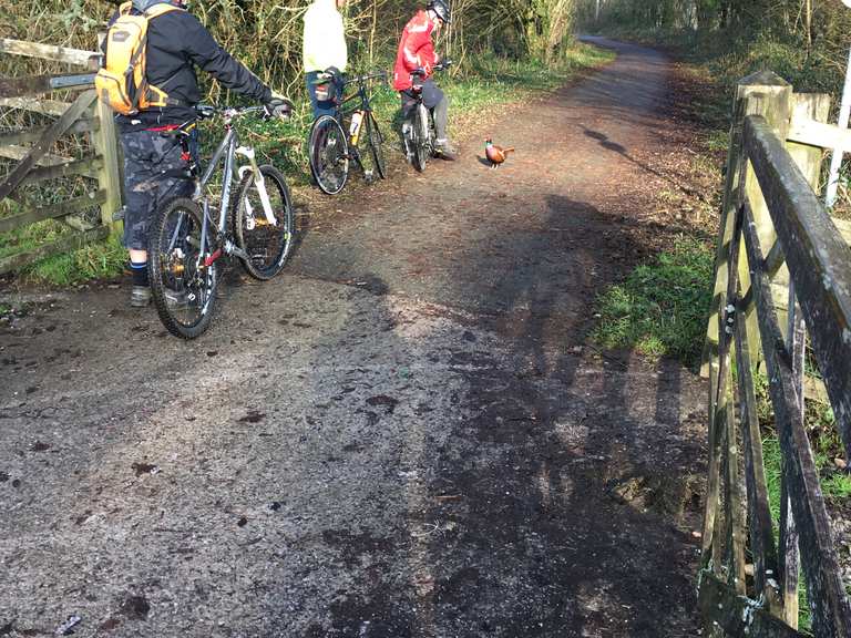 Drake's Trail (Tavistock to Plymouth) Cycle Routes and Map | Komoot