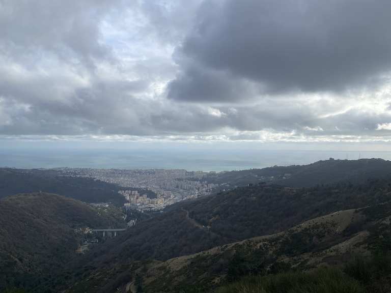 Forte Puin: Mountainbike-Touren und -Trails | komoot