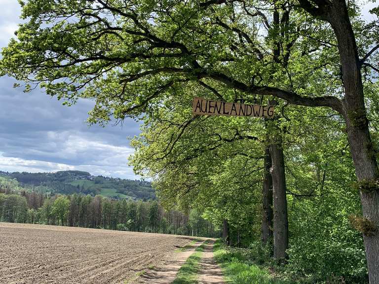 Auenlandweg Blickhausen – Erlebniswege Sieg | hike | Komoot