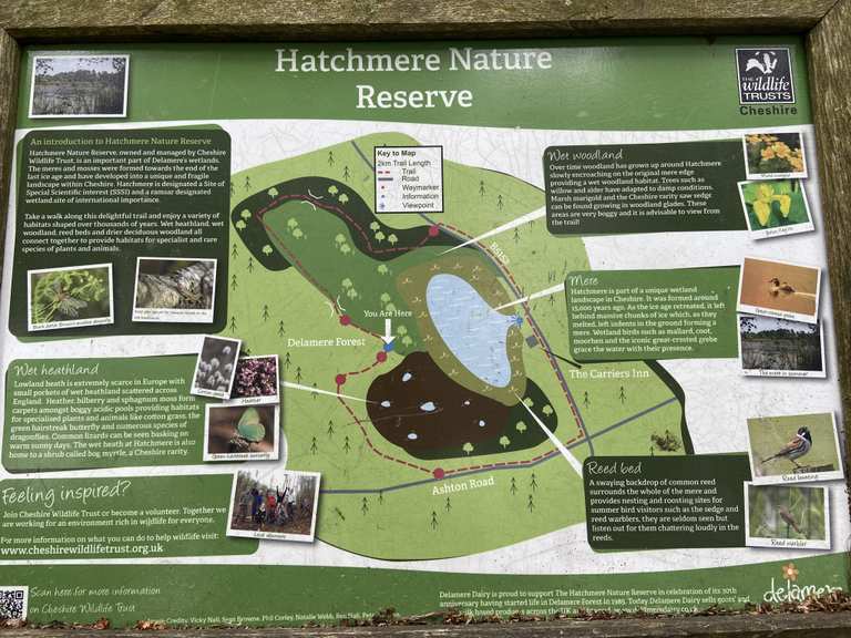 Naturschutzgebiet Hatchmere: Wanderungen und Rundwege | komoot