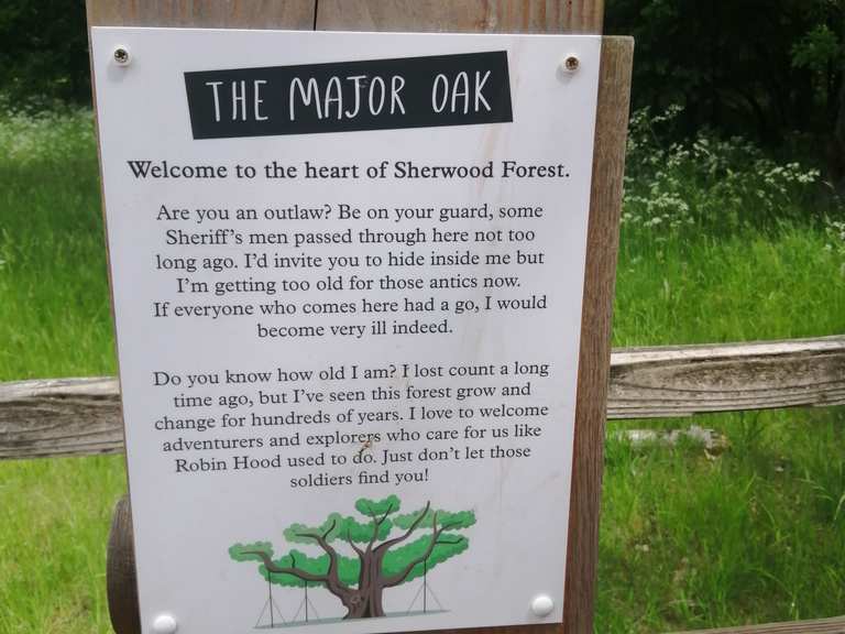 Major Oak Routes for Walking and Hiking | Komoot