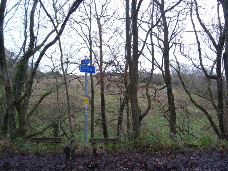 Derwent Walk - Cycle Routes and Map | Komoot