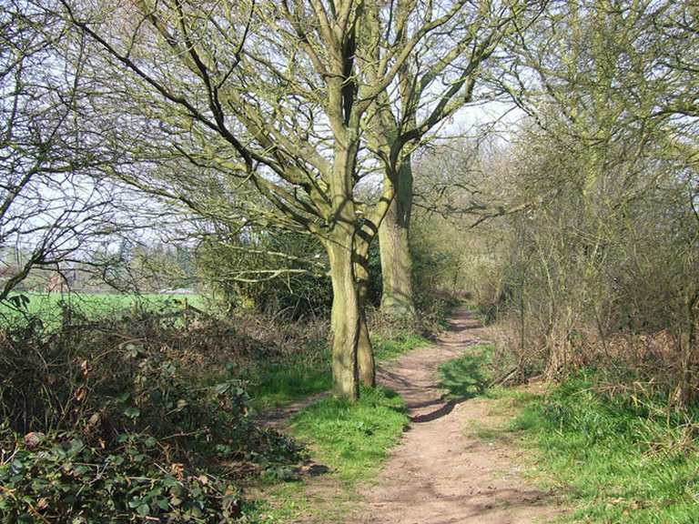 Loop de Wrottesley Hill & Wrottesley Park a partir da Westbeech Road ...