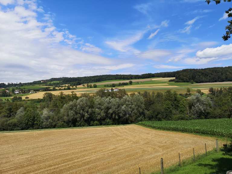 Ruine Helfenberg: Wanderungen und Rundwege | komoot