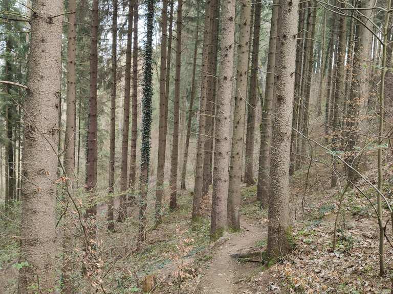 Illerberg Trails: Mountainbike-Touren | komoot