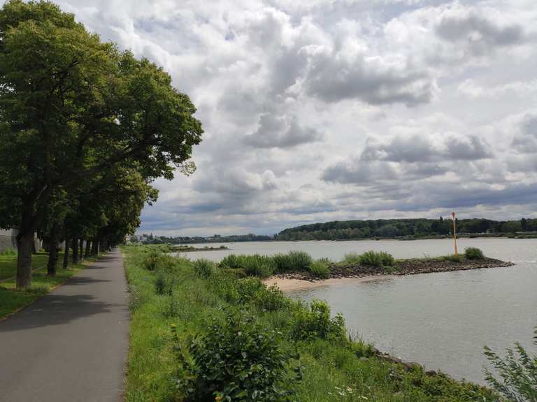 Tolle Strecke am Rhein entlang - Mountain Bike Trails & Tracks | Komoot