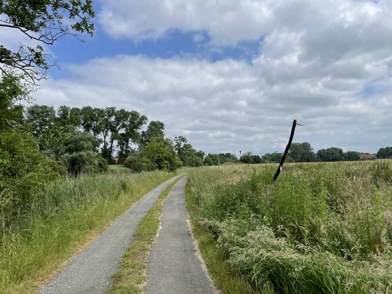 Philosophenweg: Wanderungen und Rundwege | komoot