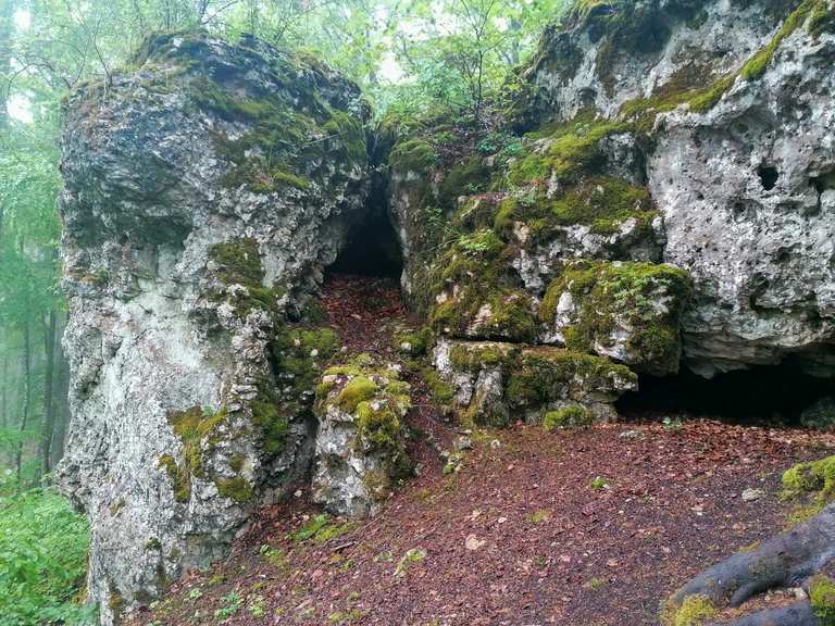 Naturdenkmal Schwarzes Tor Routes for Walking and Hiking | Komoot