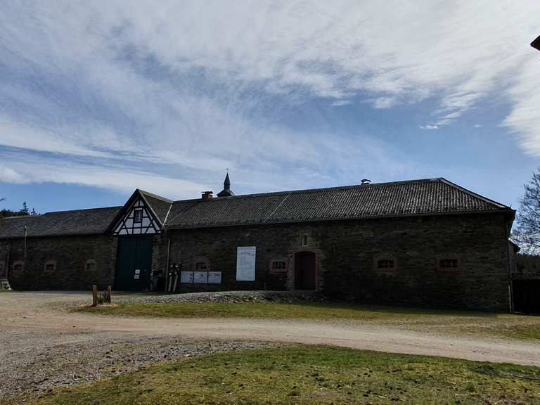 Kloster Reichenstein Routes for Walking and Hiking | Komoot