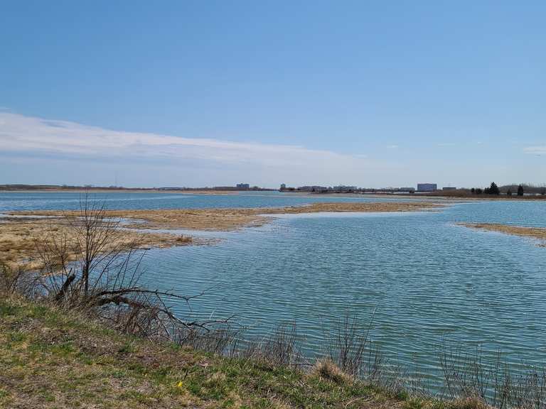 Rumney Marsh Reservation : Radtouren und Radwege | komoot