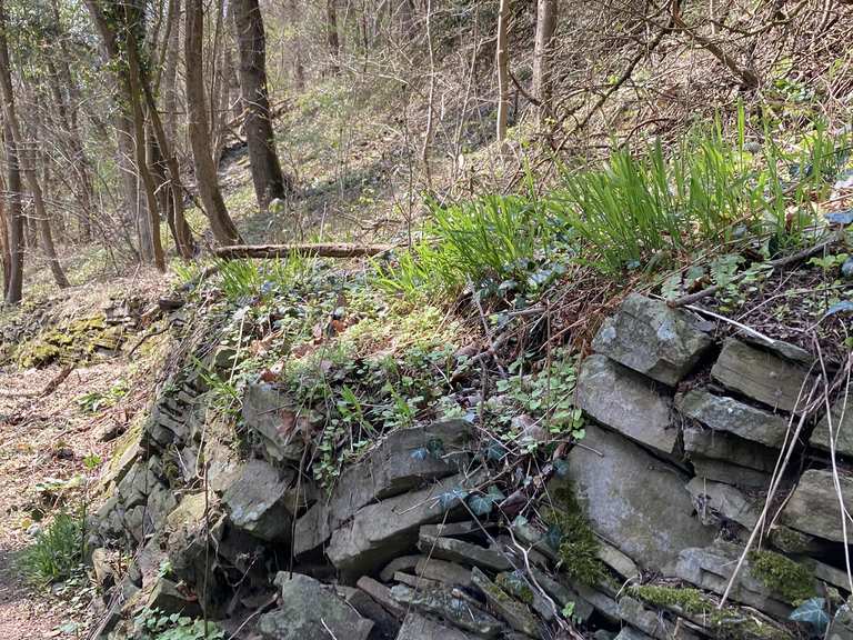 La Heid Des Gattes – Chemin rocheux avec vue boucle au départ de ...
