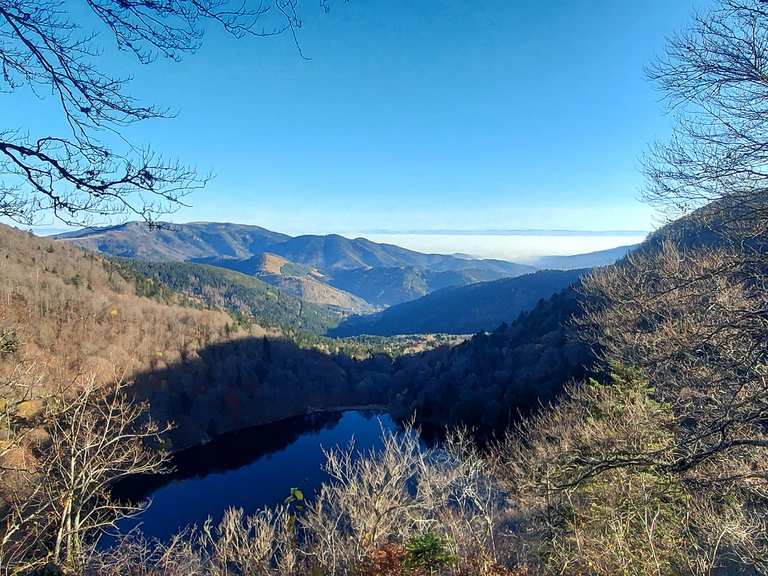 Magnifique vue sur le lac des Perches - Itinéraires de rando et marche ...