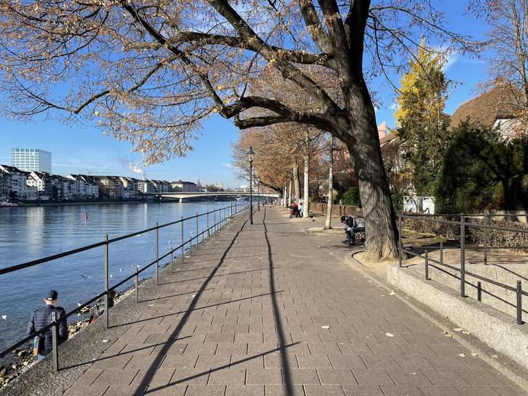 Unterer Rheinweg Promenade: Wanderungen und Rundwege | komoot