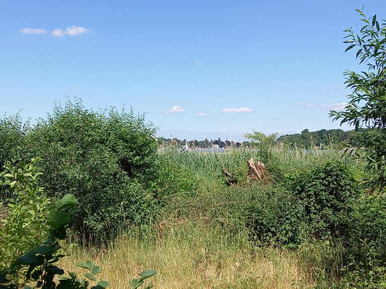 Teufelssee-Wanderung | hike | Komoot