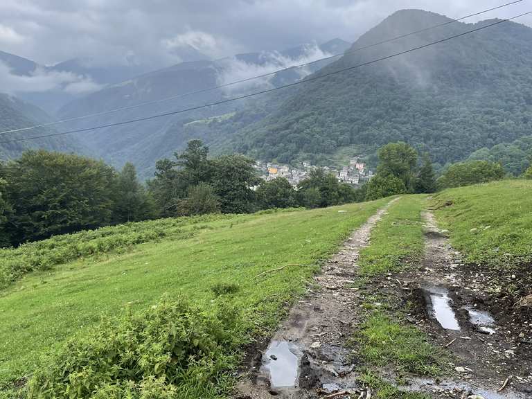 Alpe Roccolo: Mountainbike-Touren und -Trails | komoot