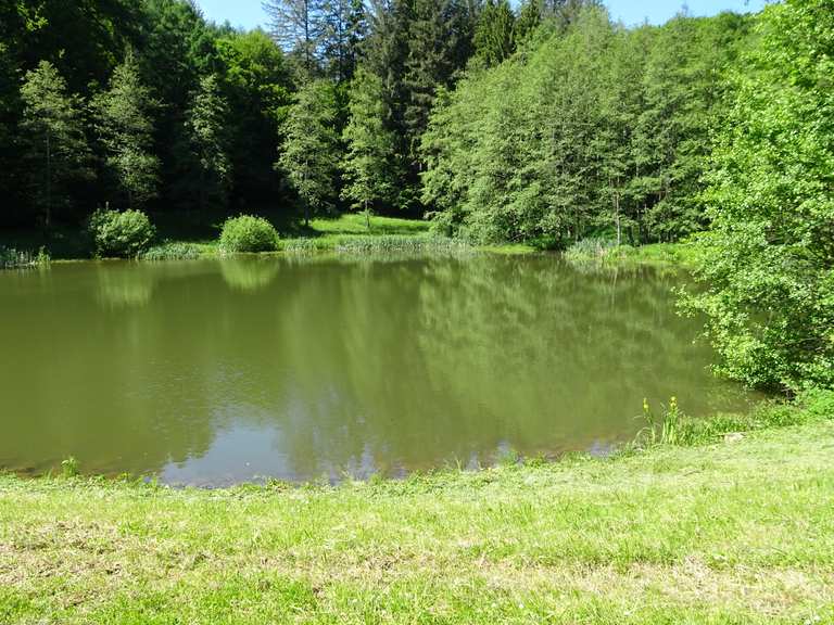 Michelsee bei Aglasterhausen-Michelbach : Radtouren und Radwege | komoot