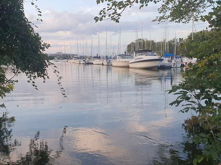 Oronoco Bay Park Loop — Daingerfield Island | hike | Komoot