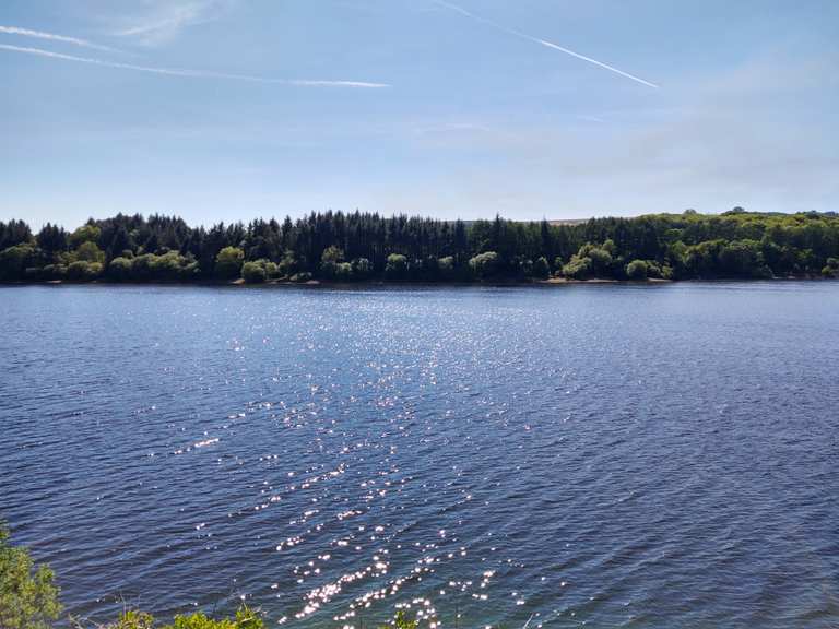 Wayoh Reservoir und Armsgrove Viadukt: Wanderungen und Rundwege | komoot