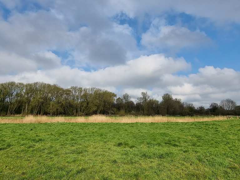 Tame Valley Wetlands Community Wetland Routes for Walking and Hiking ...