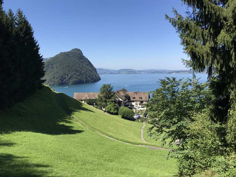 Blick auf Vitznau Runde von Vitznau | Wanderung | Komoot