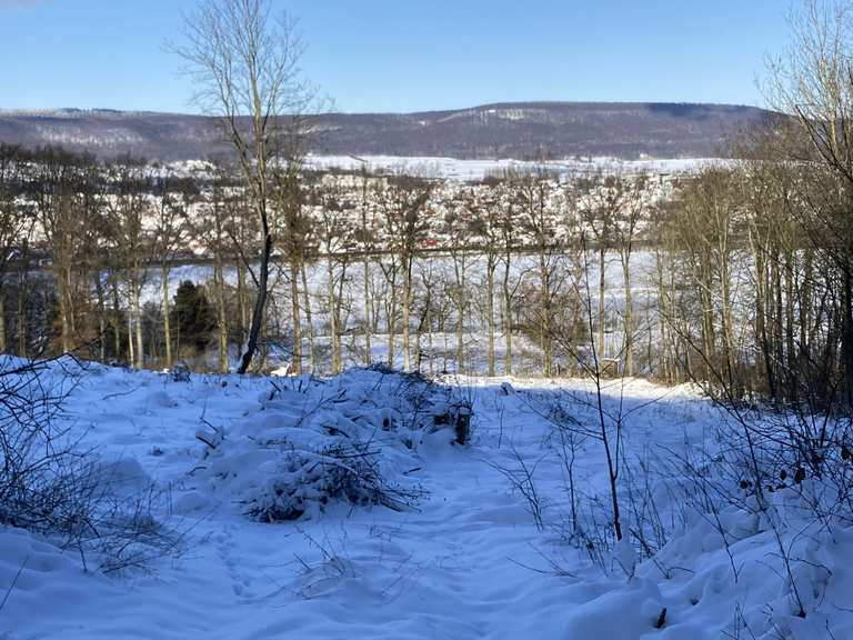 Die Mauer des Sauparks – Klippen im Saupark Runde von Springe ...