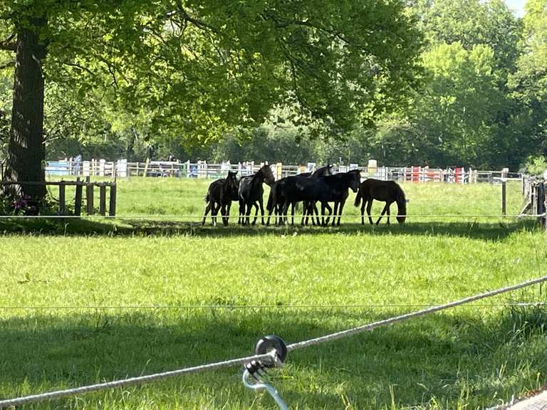 Gut Berl : Radtouren und Radwege | komoot