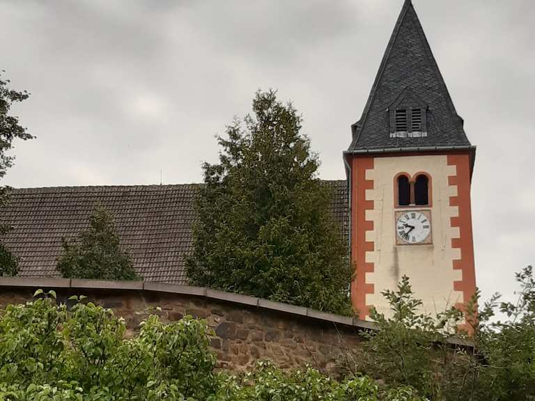 Parthe Wanderweg ⬜🟩⬜: Wanderungen und Rundwege | komoot