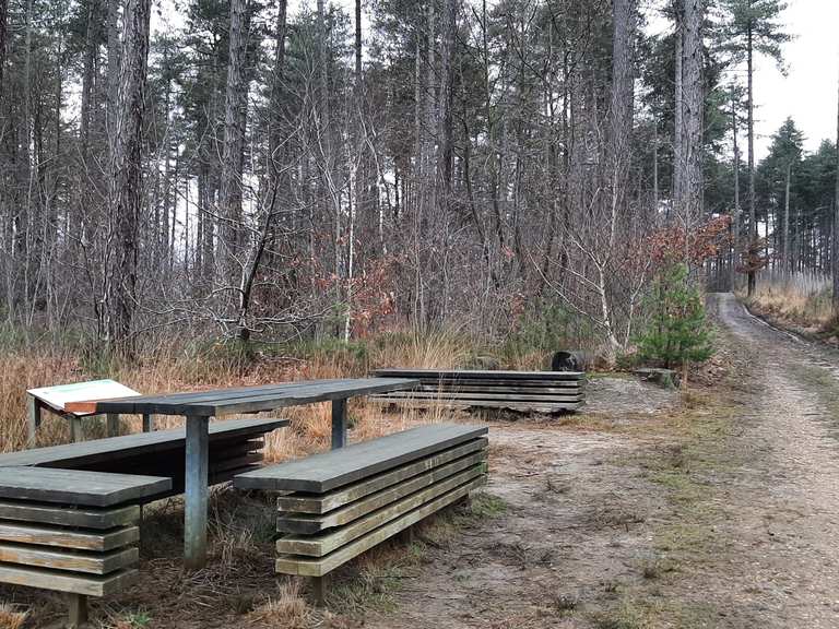 Paden Hertberg – Rode Vis Rondje vanuit Bergom | wandeling | Komoot