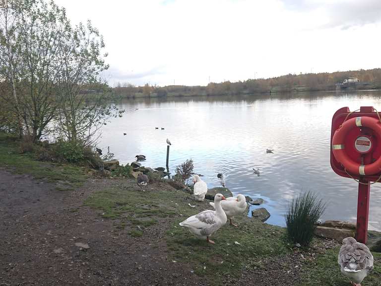 Poolsbrook Country Park : Radtouren und Radwege | komoot