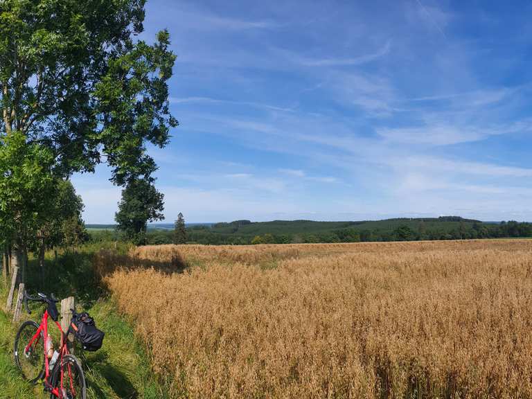 Kneiff – Hoogste punt van Luxemburg (560 m) - wiellerroutes en kaart ...