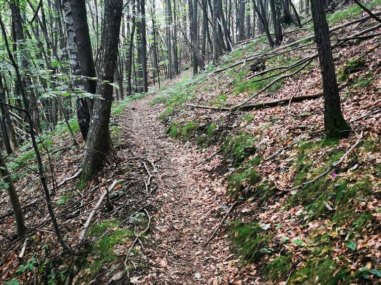 Sentiero della Cresta dello Zingla Ridge Trail zum Rifugio Granata ...