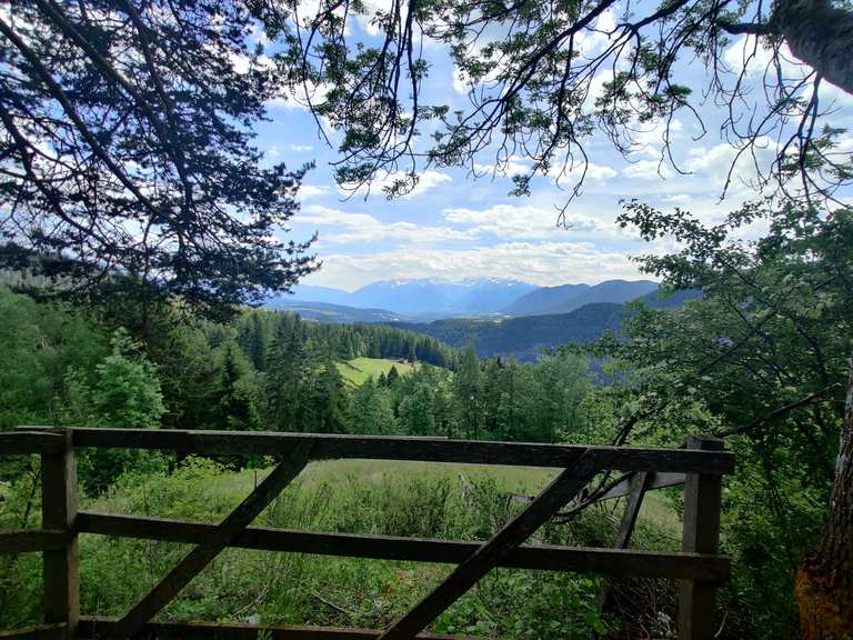 Passo Palade Road Cycle Routes and Map | Komoot