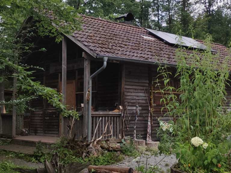 Hütten Forstrevier Dahenfeld Routes for Walking and Hiking | Komoot