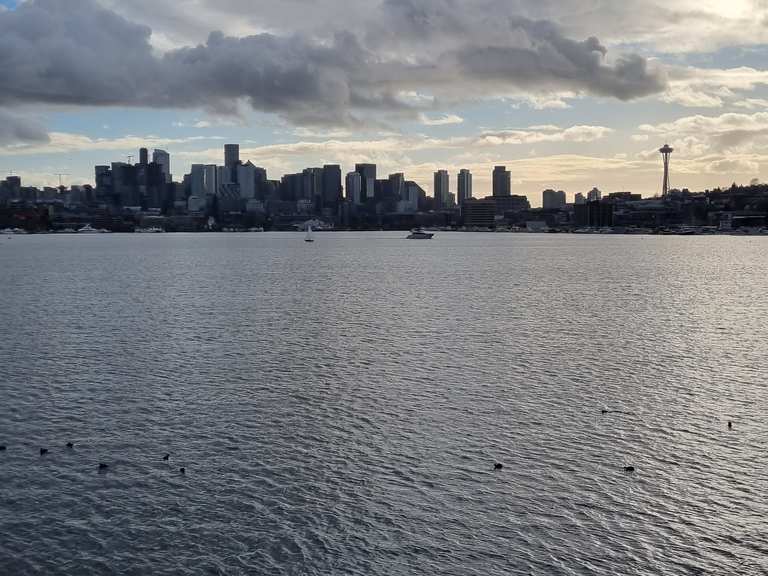 Space Needle via Cheshiahud Lake Union Loop — Lake Union | hike | Komoot