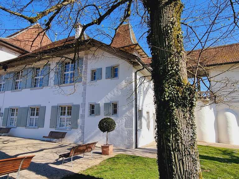 Schloss Waldegg Routes for Walking and Hiking | Komoot