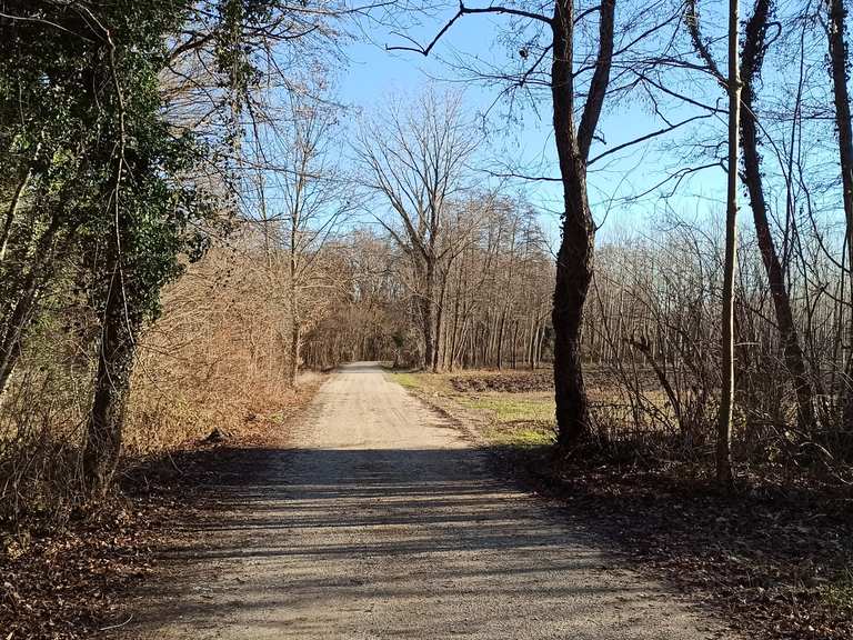 Monte e Lago di Ragogna - giro ad anello da San Daniele del Friuli ...