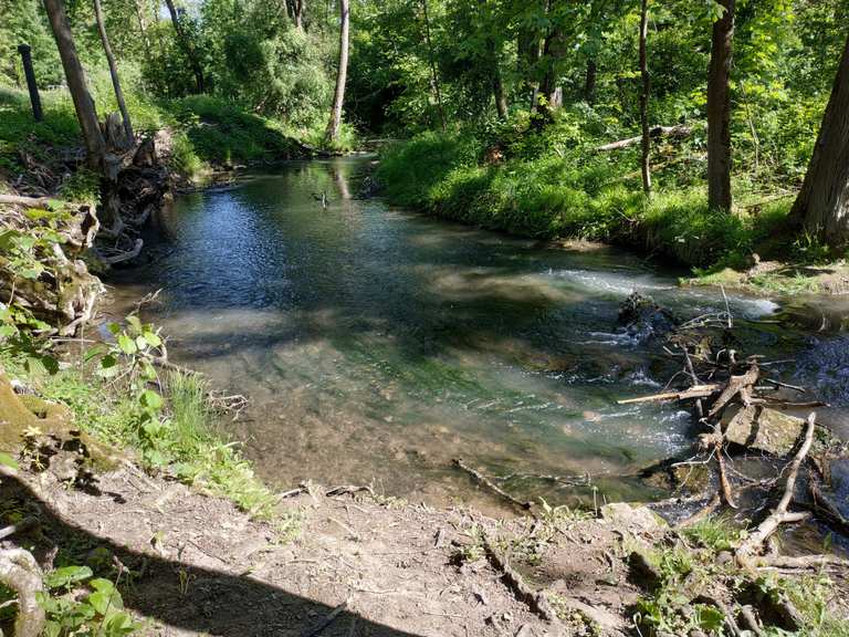 Naturnaher Weg entlang der Metter - fietsroutes en kaart | Komoot