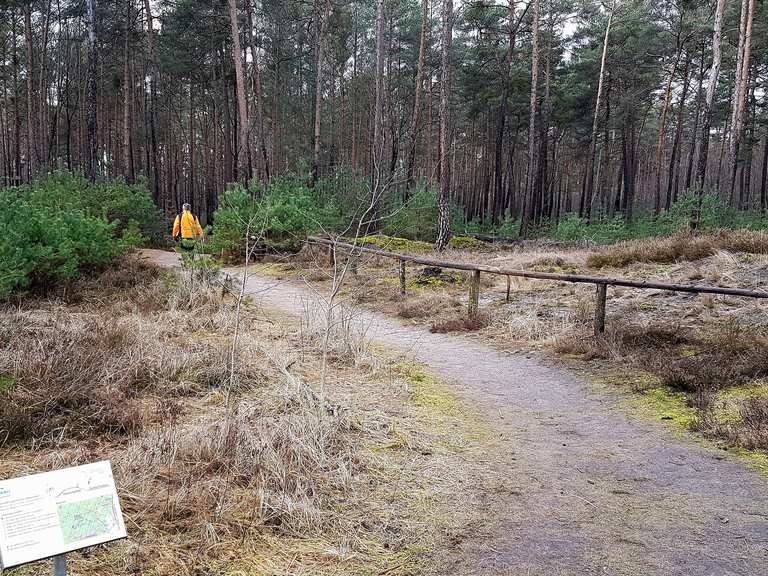 Dünenpfad Dudenhofen: Wanderungen und Rundwege | komoot