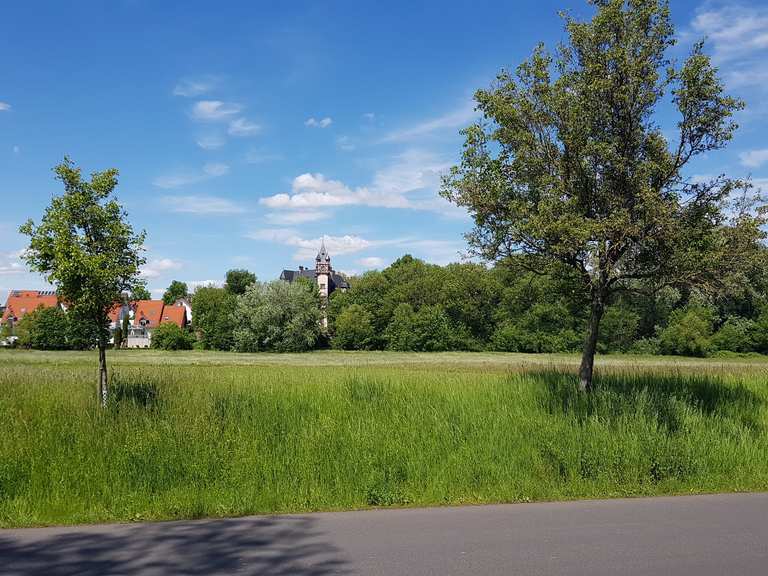 Neues Schloß Büdesheim : Radtouren und Radwege | komoot